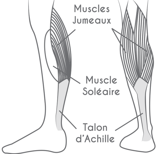 Solution innovante pour l'étirement des mollets et le soulagement des ...